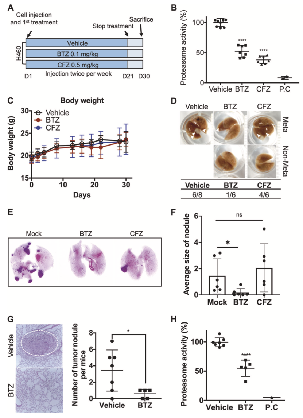 CMap based Drug Repositioning of BTZ to reverse the metastatic effect ...